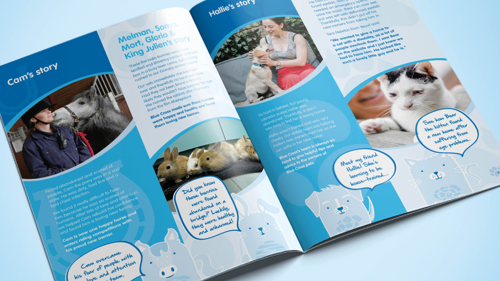 Blue Cross School Fundraising Pack - Bluestep Solutions